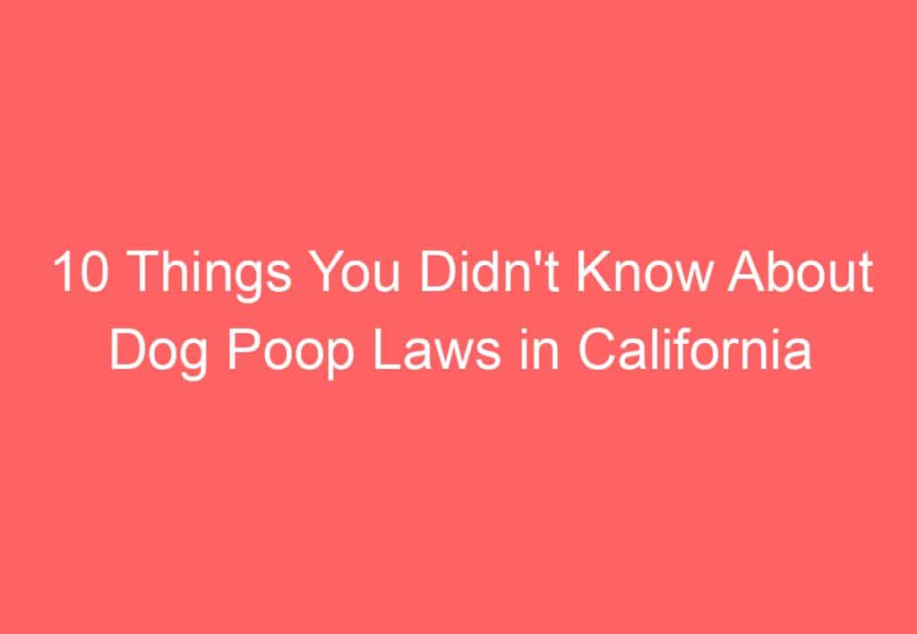3 Reasons Why California Is the East Coast of the West - HowTravelPlan