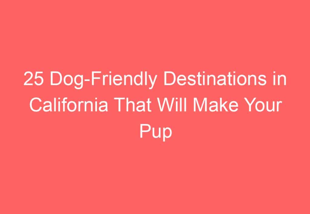 10 Must-Try Cannibal Restaurants in California Craving a taste of human ...