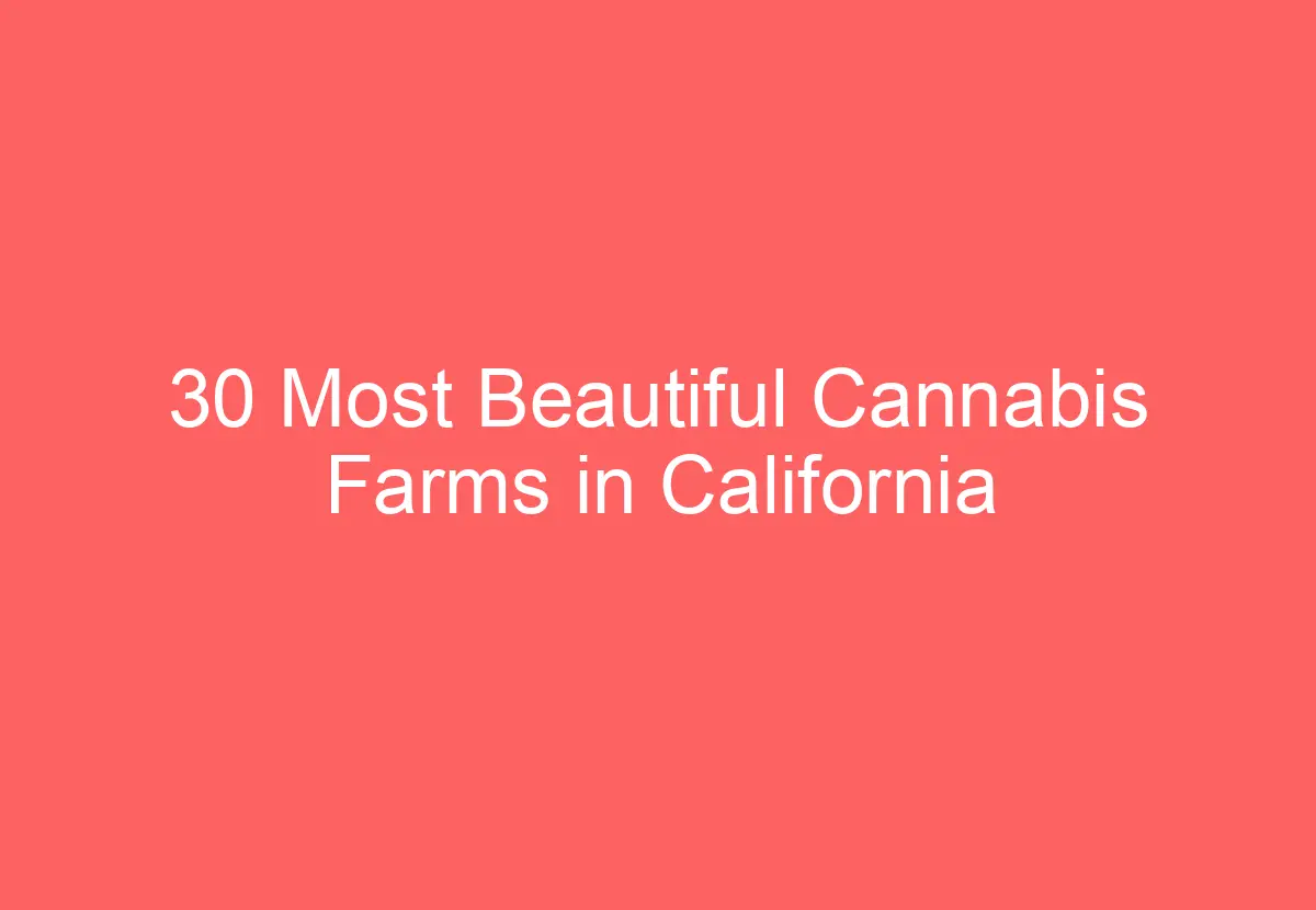 30 Most Beautiful Cannabis Farms in California