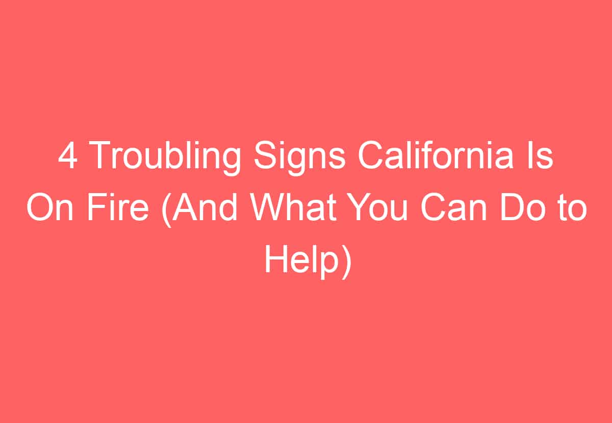 4 Troubling Signs California Is On Fire (And What You Can Do to Help)