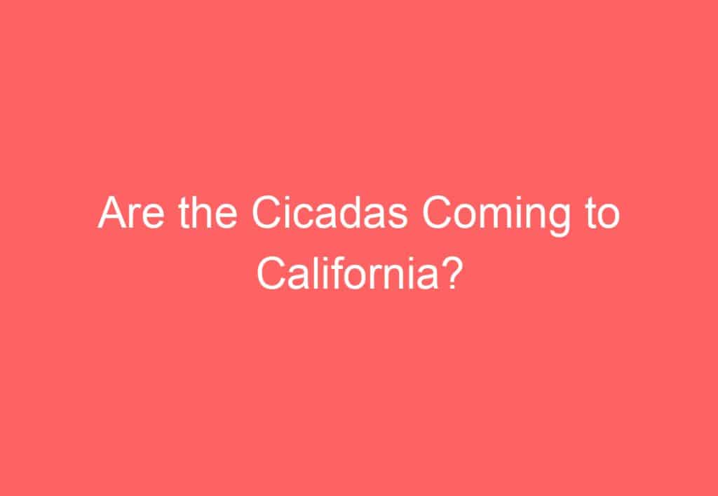10 Must-Try Cannibal Restaurants in California Craving a taste of human ...