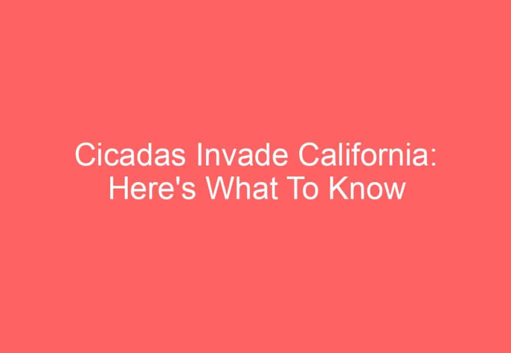 10 Must-Try Cannibal Restaurants in California Craving a taste of human ...