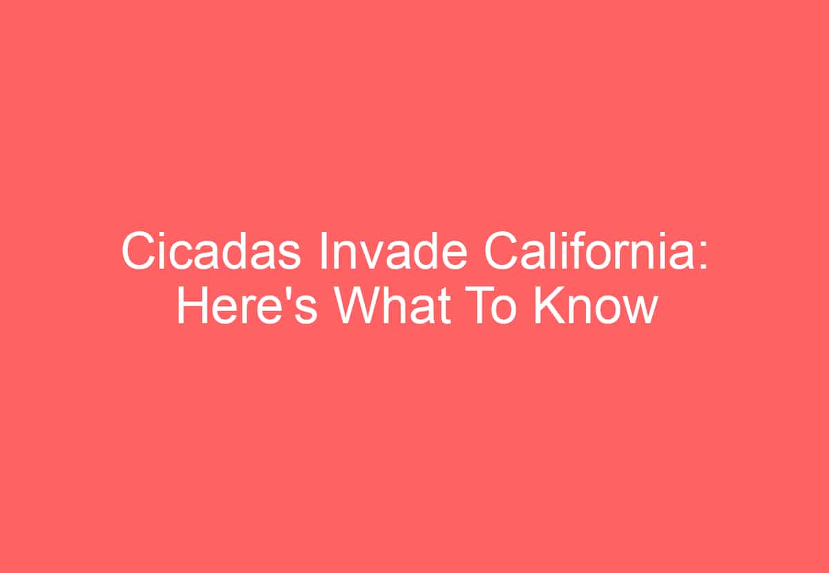 Is Stockton, California Safe? The 5 Things You Need to Know - HowTravelPlan