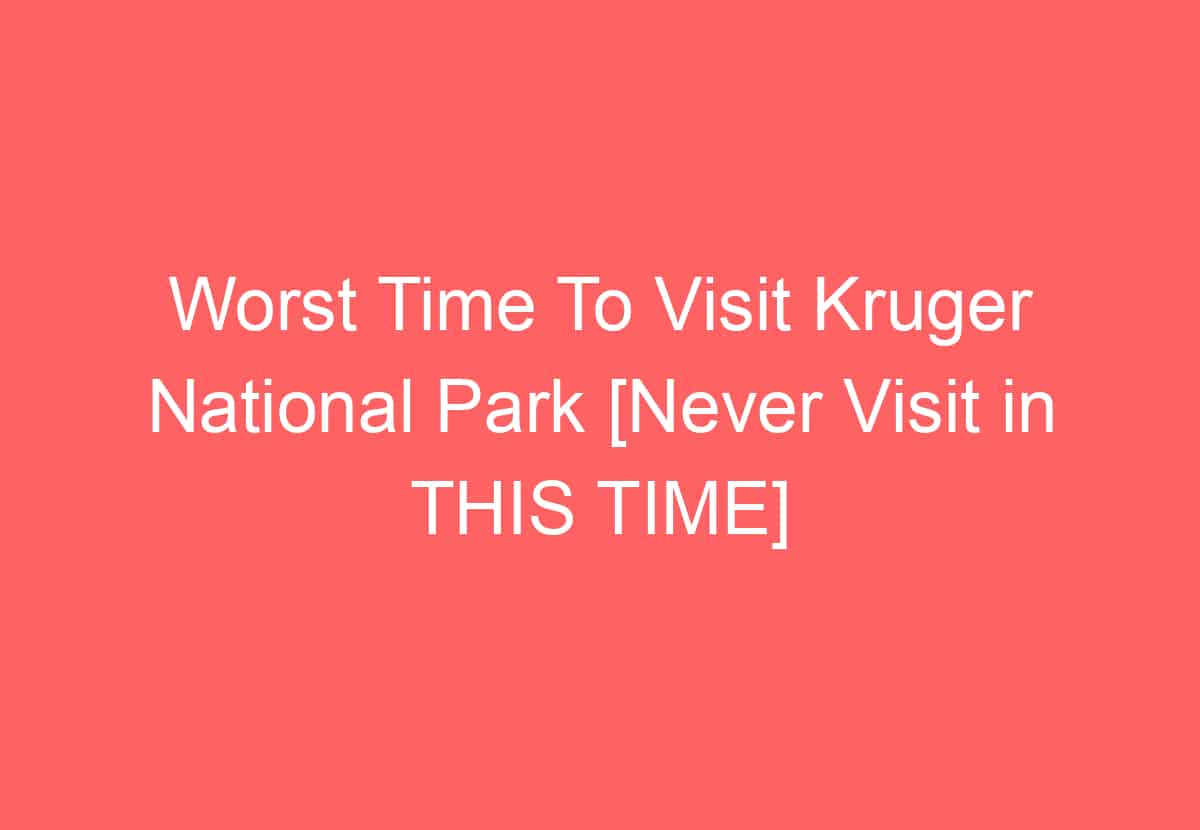 Worst Time To Visit Kruger National Park [Never Visit in THIS TIME]