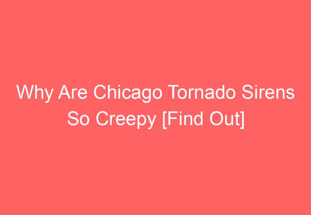 Biggest Airports In Michigan [Explored] - Beauty & Beyond Trails
